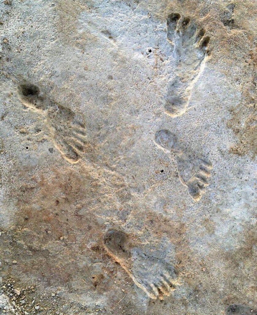 Human footprints from White Sands National Park, New Mexico, 23,000 ...
