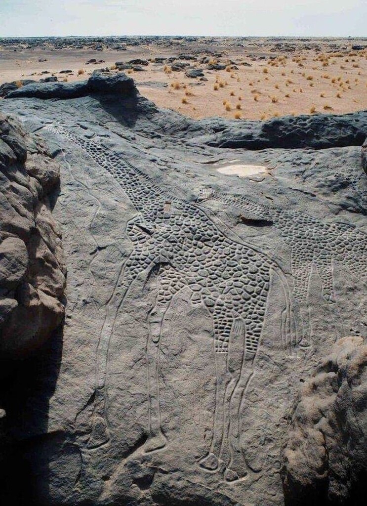The 11,000 year old Air Massif, Niger, two of the largest animal rock ...