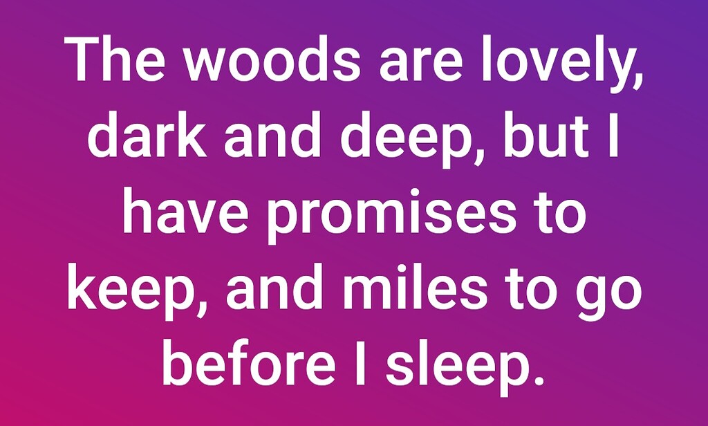 Just some random pictures,you know woods are dark, deep and lovely ...