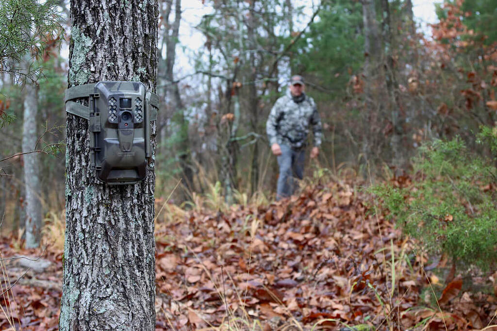 Velociraptor Dinosaur Caught on Trail Camera by Hunter in Missouri ...