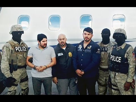 The Frightening Degree to Which Narco Trafficking Has Permeated ...