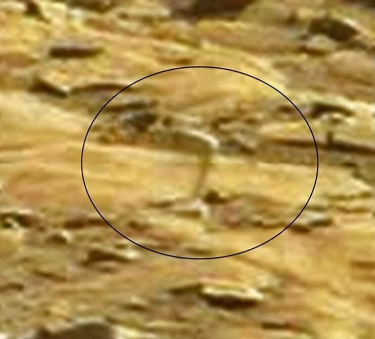 A Mars Landscape with a spout like structure - a periscope? a snake or ...